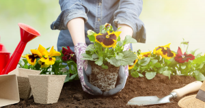 Top 10 Best Gardner in Pune - ProfessNow Blog
