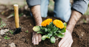 Top 10 Best Gardner in Pune - ProfessNow Blog